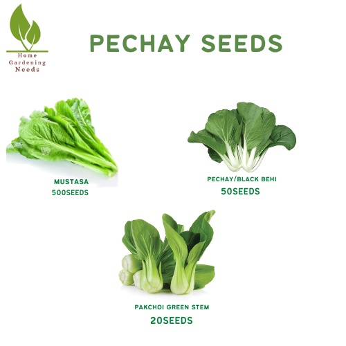 PECHAY SEEDS - Pechay Mustasa Pakchoi | Shopee Philippines