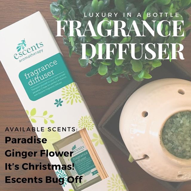 Langham Ginger Flower Diffuser | Best Flower Site