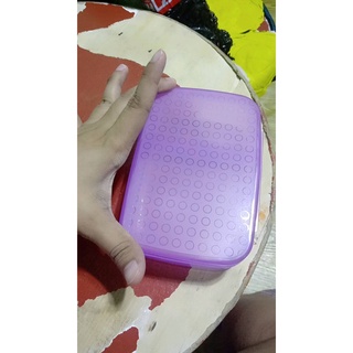 Bengar 9900 SQUARE LUNCH BOX with 2 Compartments / food keeper / food ...