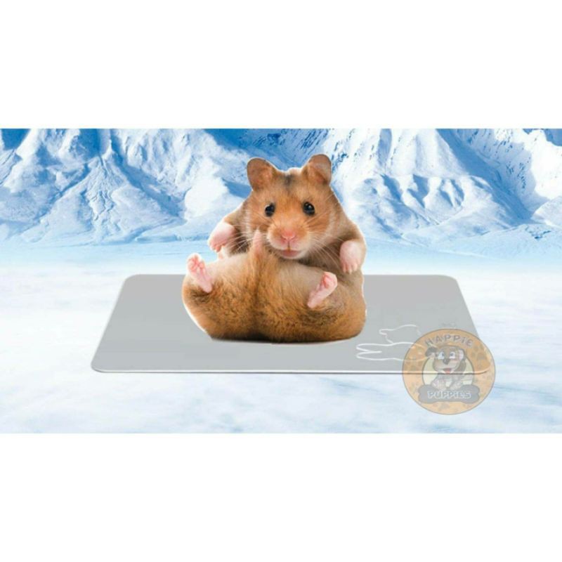 Hamster Reversible Aluminum Cooling Pad Mat (S to L) | Shopee Philippines