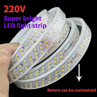 220V LED Strip Light for ceiling Indoor&Outdoor Decorative Light Strip ...