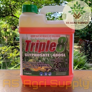 triple8 - Best Prices and Online Promos - Jan 2023 | Shopee Philippines