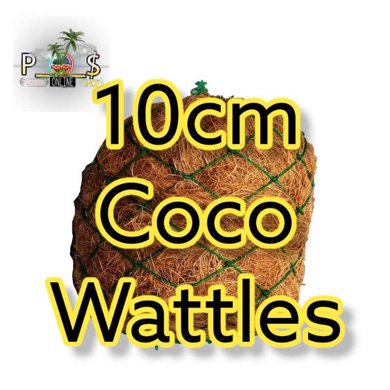 10cm Coco Wattles/Best For Hanging Plants. | Shopee Philippines