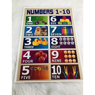 A4 Numbers Laminated Chart for Toddlers | Shopee Philippines