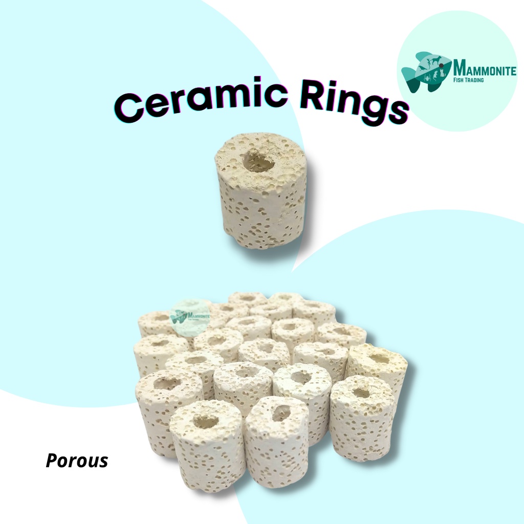 Aquarium Ceramic Porous Ring 250g Filter Media | Shopee Philippines