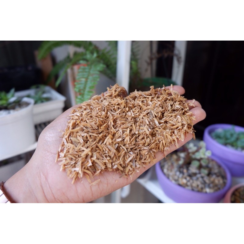 Rice hull (ipa ng palay) 500 grams per pack | Shopee Philippines
