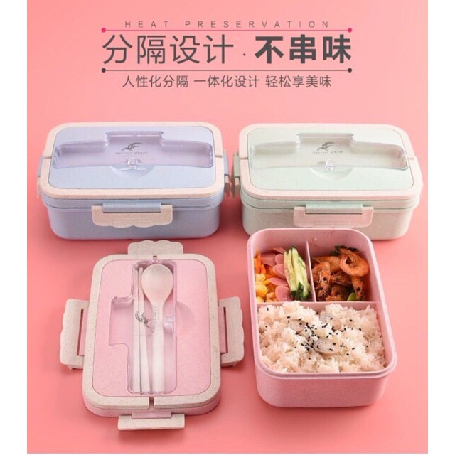 PORTABLE LUNCH BOX 1 LAYER WITH HANDLE AND FREE WHEAT SPOON ...