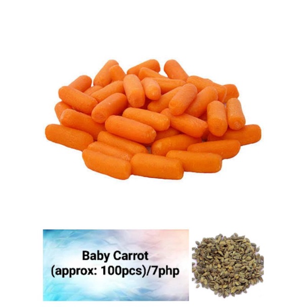 Baby Carrot Seeds (approx: 100pcs) | Shopee Philippines