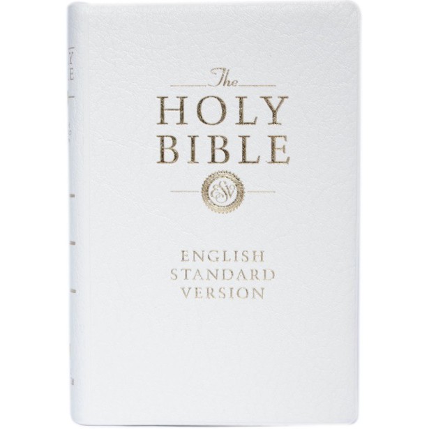 White Holy Bible Cover
