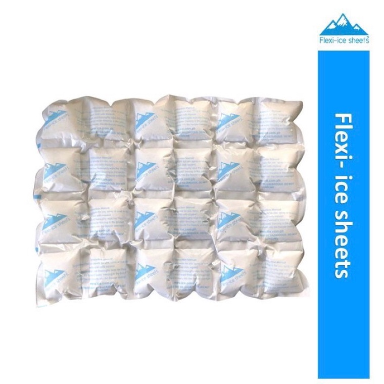Flexi Ice 2-Ply 6 x 4 Ice Sheets Gel Ice Pack Standard | Shopee Philippines