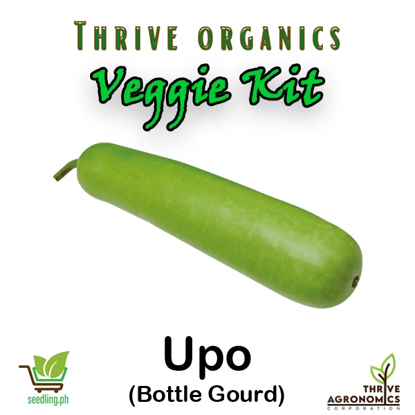 Upo Bottle Gourd Veggie Kit Grow Kit Seedling Kit Planting Kit Thrive ...