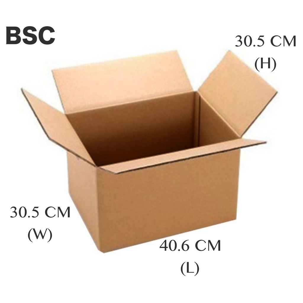 10 PCS Corrugated Cartons SINGLE WALL 40.6 x 30.5 x 30.5 CM (1 SET ONLY ...