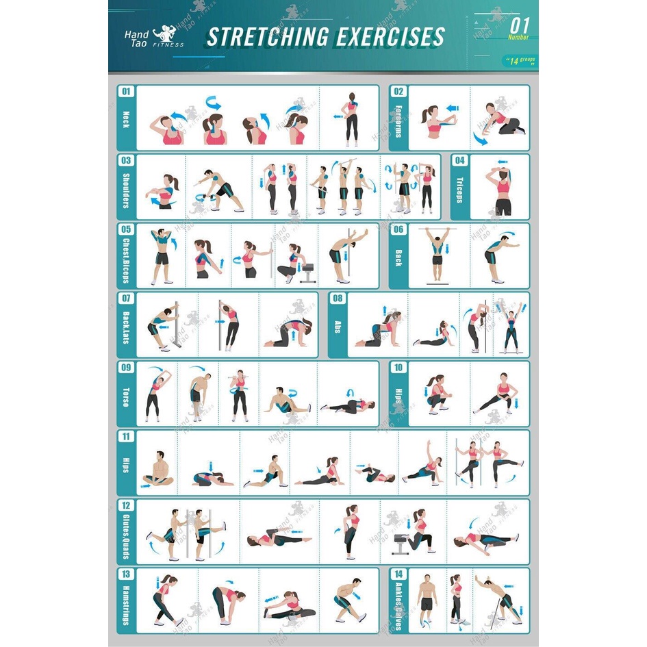 Stretching Exercise Poster BodyBuilding Guide Fitness Gym Chart ...