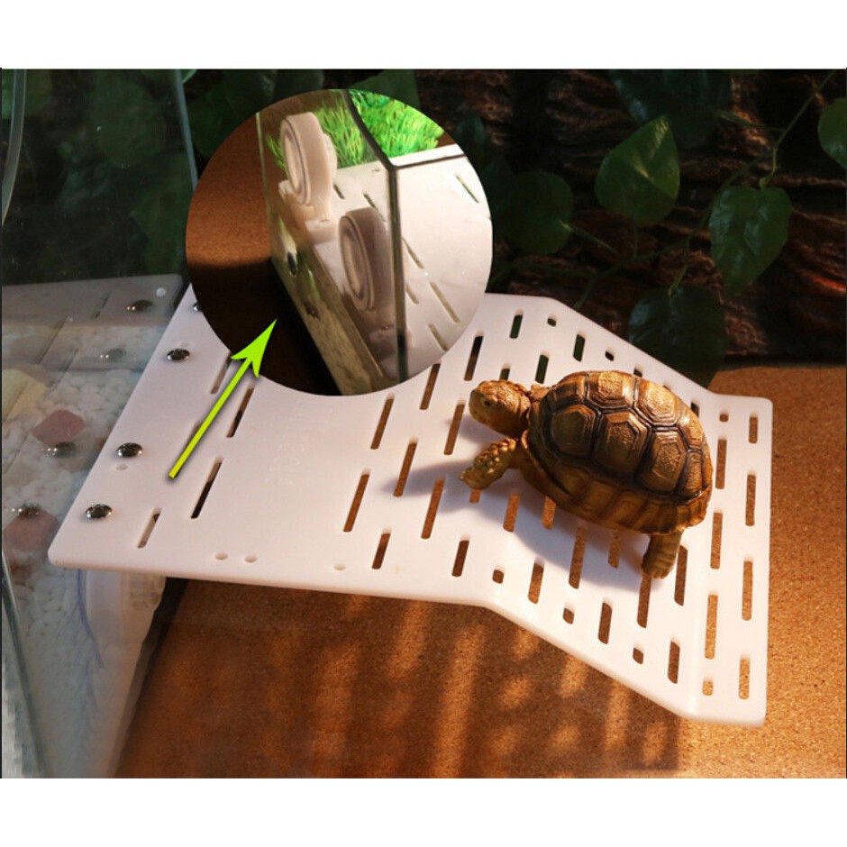 Turtle Pier Dock Basking Platform Shelf Ramp Steps Landing | Shopee ...