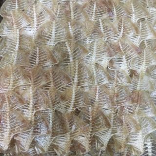CEBU DRIED FISH BONE FROM BANTAYAN ISLAND | Shopee Philippines