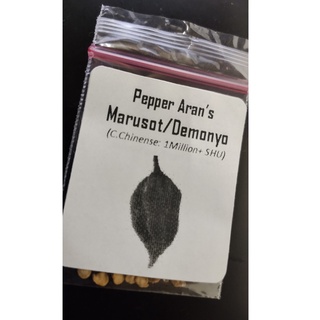 Siling Demonyo Pepper Seeds (Capsicum Chinense) | Shopee Philippines