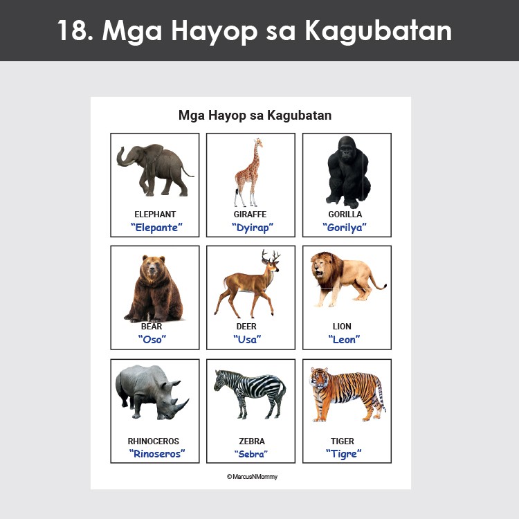 Mga Hayop Worksheets Samut-samot, 50% OFF