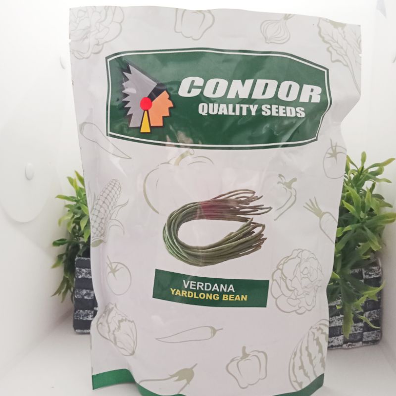 Verdana Condor Sitaw Yardlong Bean 1Kg | Shopee Philippines