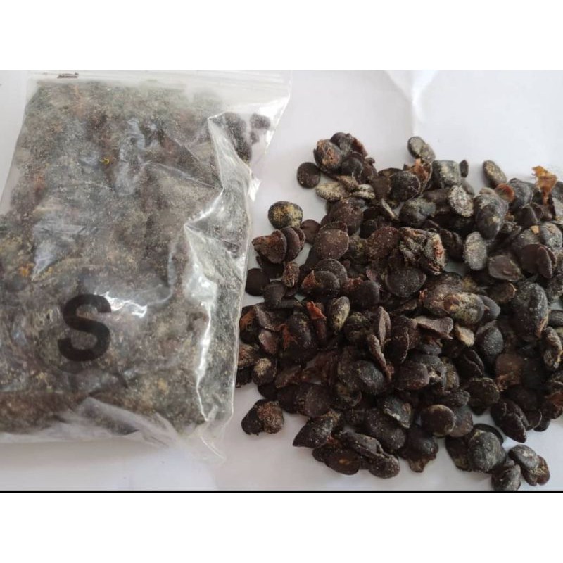 Iru Locust Beans -(25g/50g) | Shopee Philippines