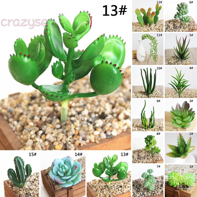 Durable Home Decoration Wedding Garden Dining Plastic Succulent Cactus ...