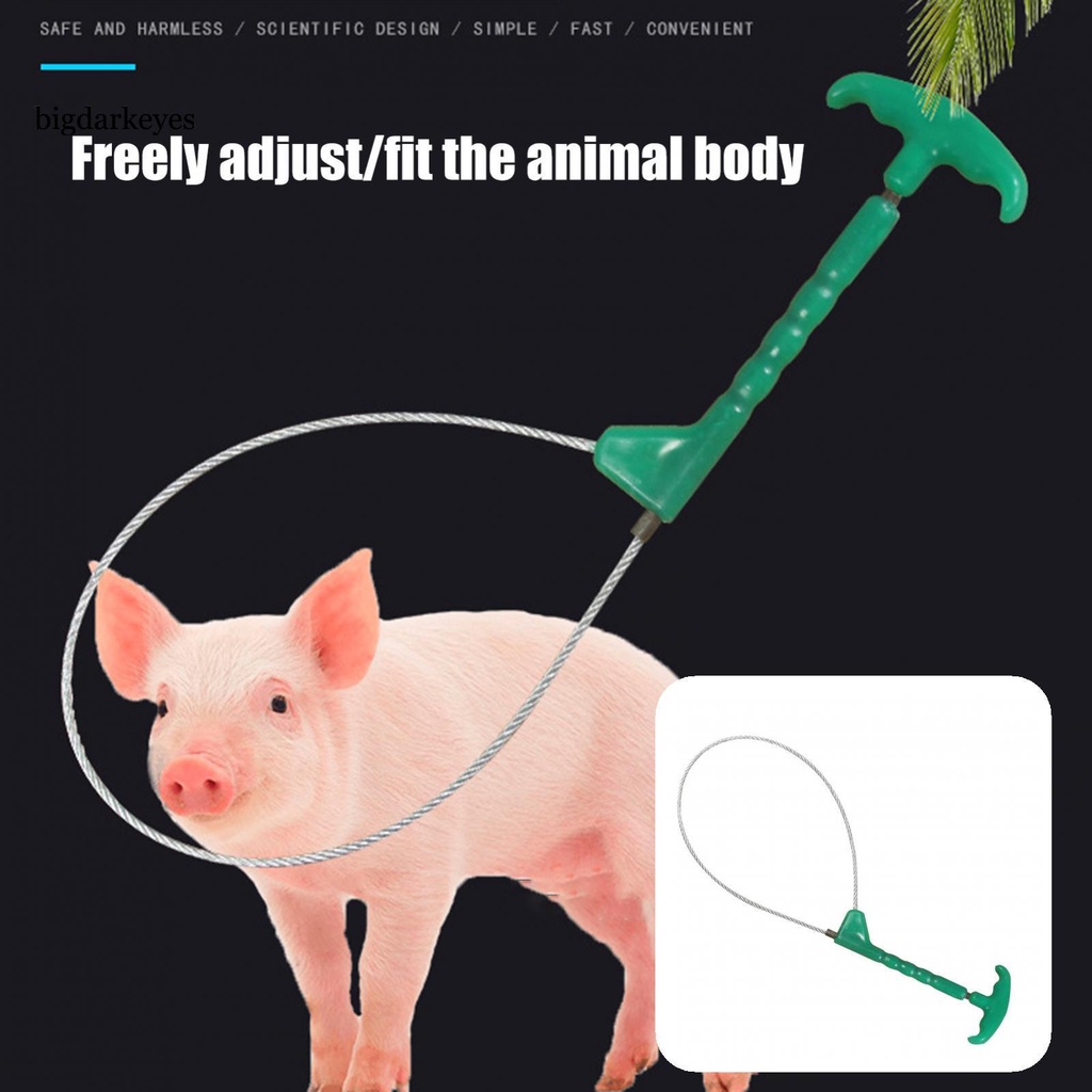 bigdarkeyes Safe Stainless Steel Piggy Catcher Dog Pig Holder Catcher ...