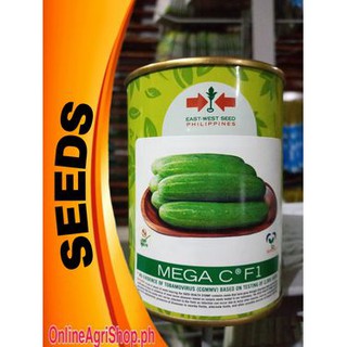 MEGA C F1 (50G) HYBRID CUCUMBER BY EAST WEST SEEDS APPROX 2500 SEEDS ...