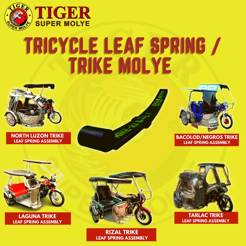 TRICYCLE LEAF SPRING ASSEMBLY/ TRIKE MOLYE SET | Shopee Philippines