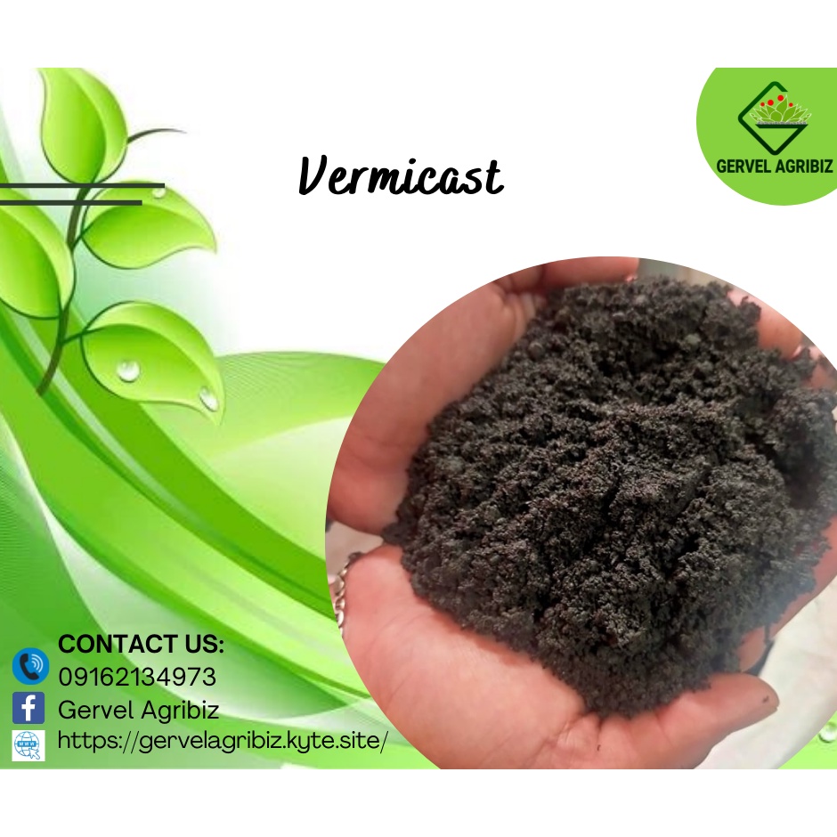 High quality, pure Vermicast for plants, 2, 4, and 5 kilograms pack, by ...