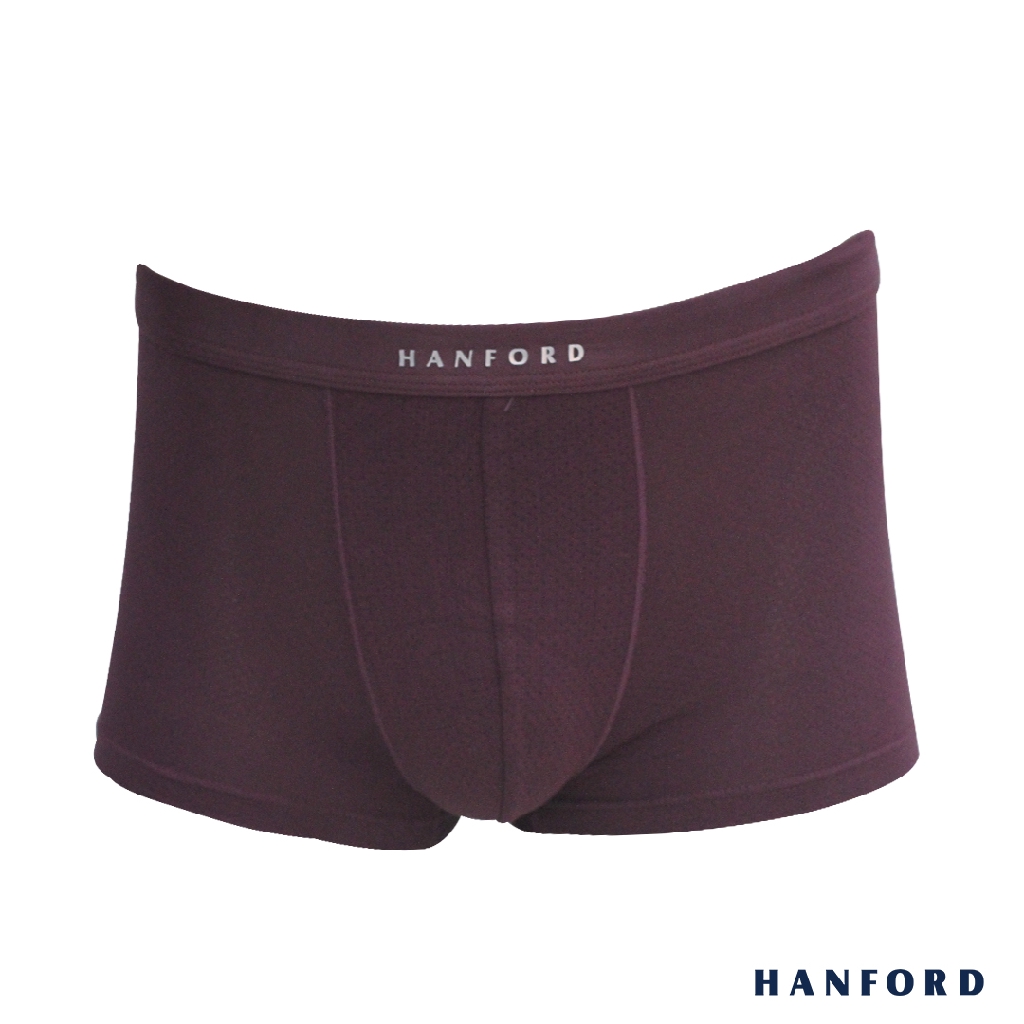 Hanford iCE Mens Inside Garter Boxer Briefs w/ Bamboo Fiber - Lilac ...