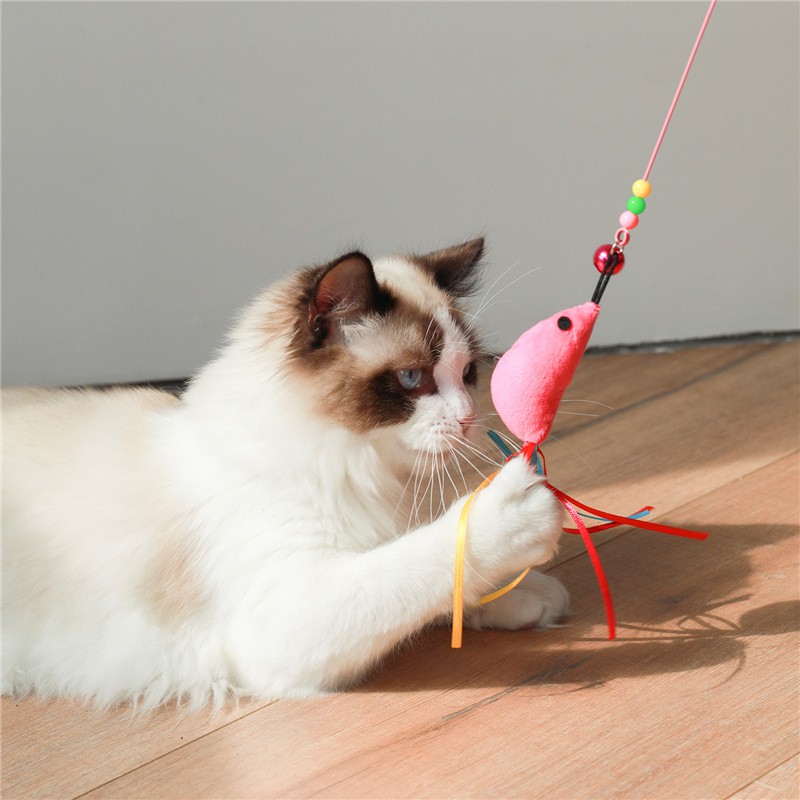 Cat Toy Kitten Interactive Cat Dancer Catfisher Teaser Wand Chasing Toy ...