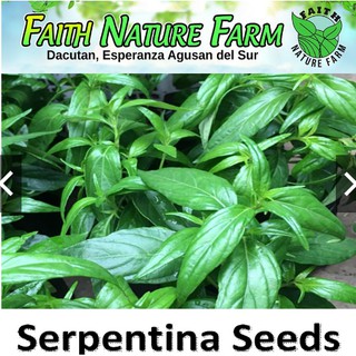 serpentina - Prices and Online Deals - Sept 2020 | Shopee Philippines