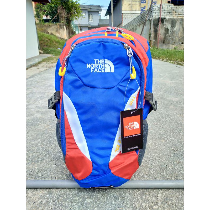 The North Face Mini Backpack | Shopee Philippines