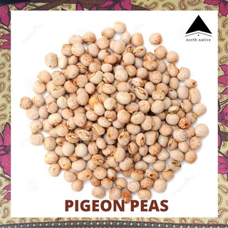 beans - Best Prices and Online Promos - Feb 2023 | Shopee Philippines