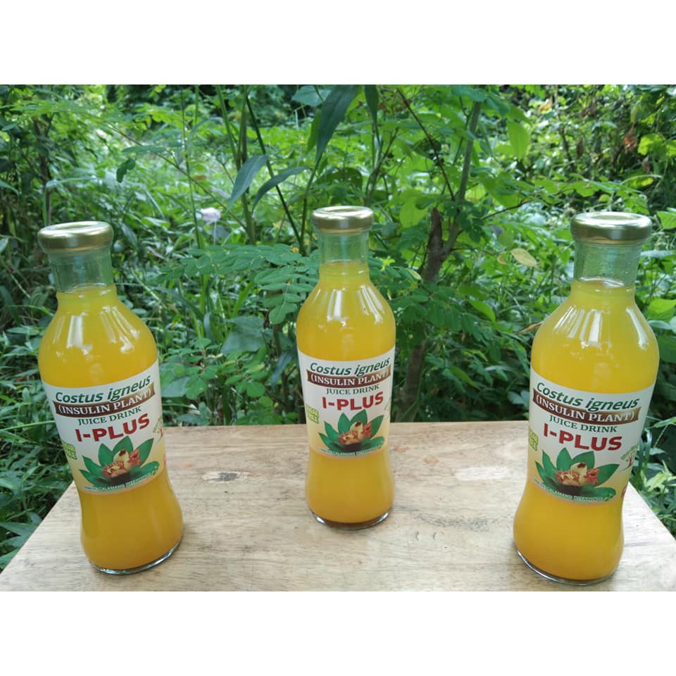 Insulin Plant Juice (350 ml) | Shopee Philippines