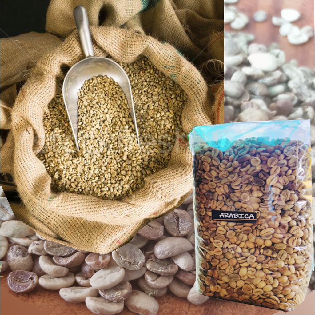 Vietnam Raw Arabica Beans (Unroasted) Arabica Coffee Beans- Ready for ...