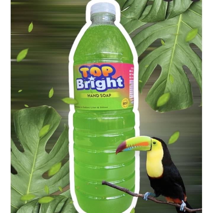 Top Bright Hand Soap Irish Spring Scent 1 Liter | Shopee Philippines