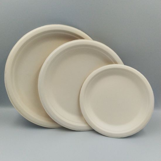 50pcs Sugarcane Paper Plate | Shopee Philippines