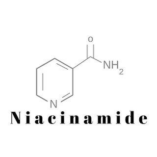 Niacinamide/ Nicotinamide (Vitamin B3- Powder & USP grade) | Shopee ...