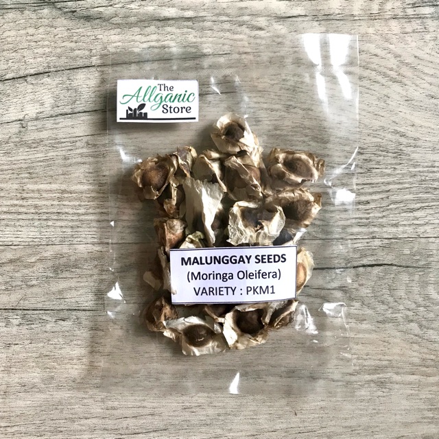 Malunggay (Moringa Oleifera PKM1) Seeds for planting | Shopee Philippines
