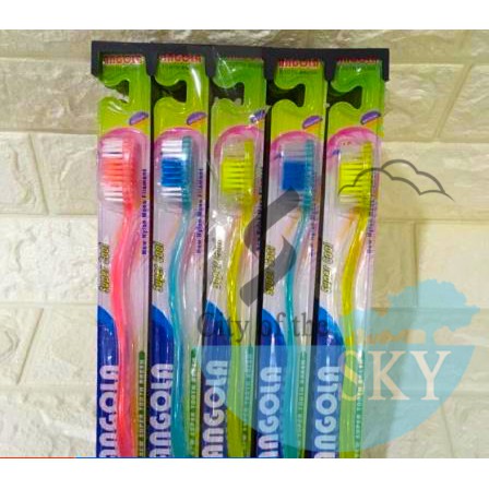 1 pcs Angola adult toothbrush individually packed #588 | Shopee Philippines