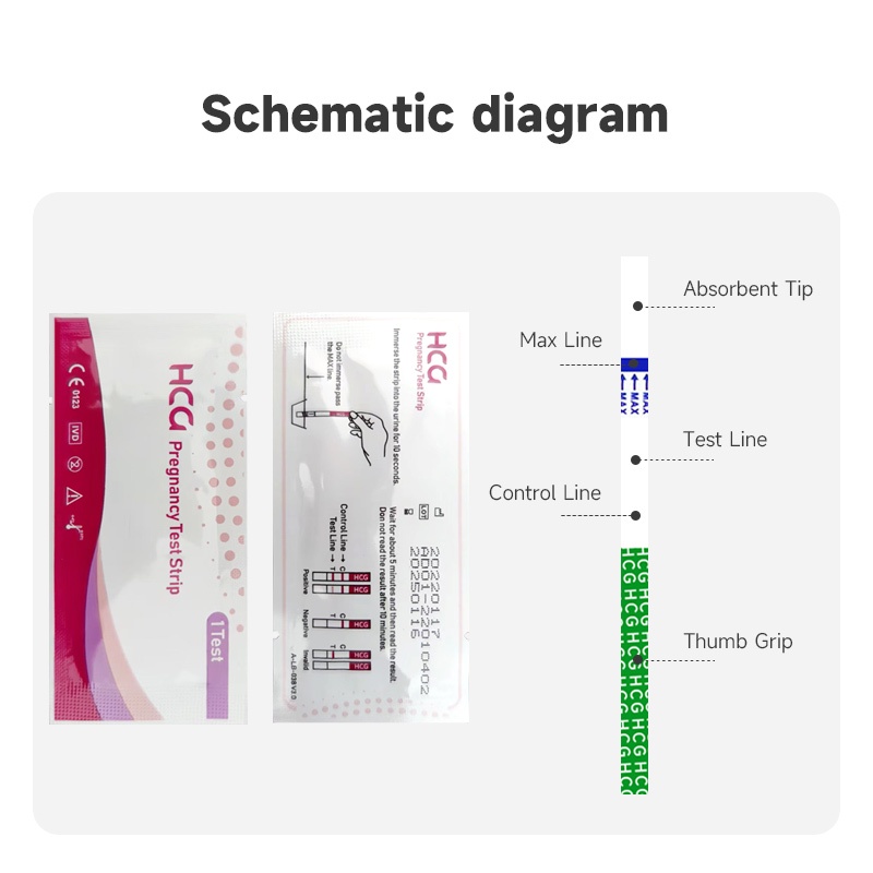 Home Early Pregnancy Test Paper For Urine Test Ovulation Strips Hcg ...