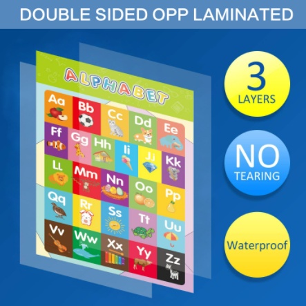 Big Size Educational Wall Charts for Kids 16pcs Waterproof Alphabet ABC ...