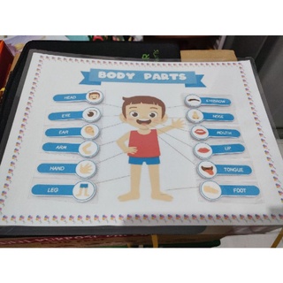 Parts of the Body Chart (Velcro Chart) | Shopee Philippines