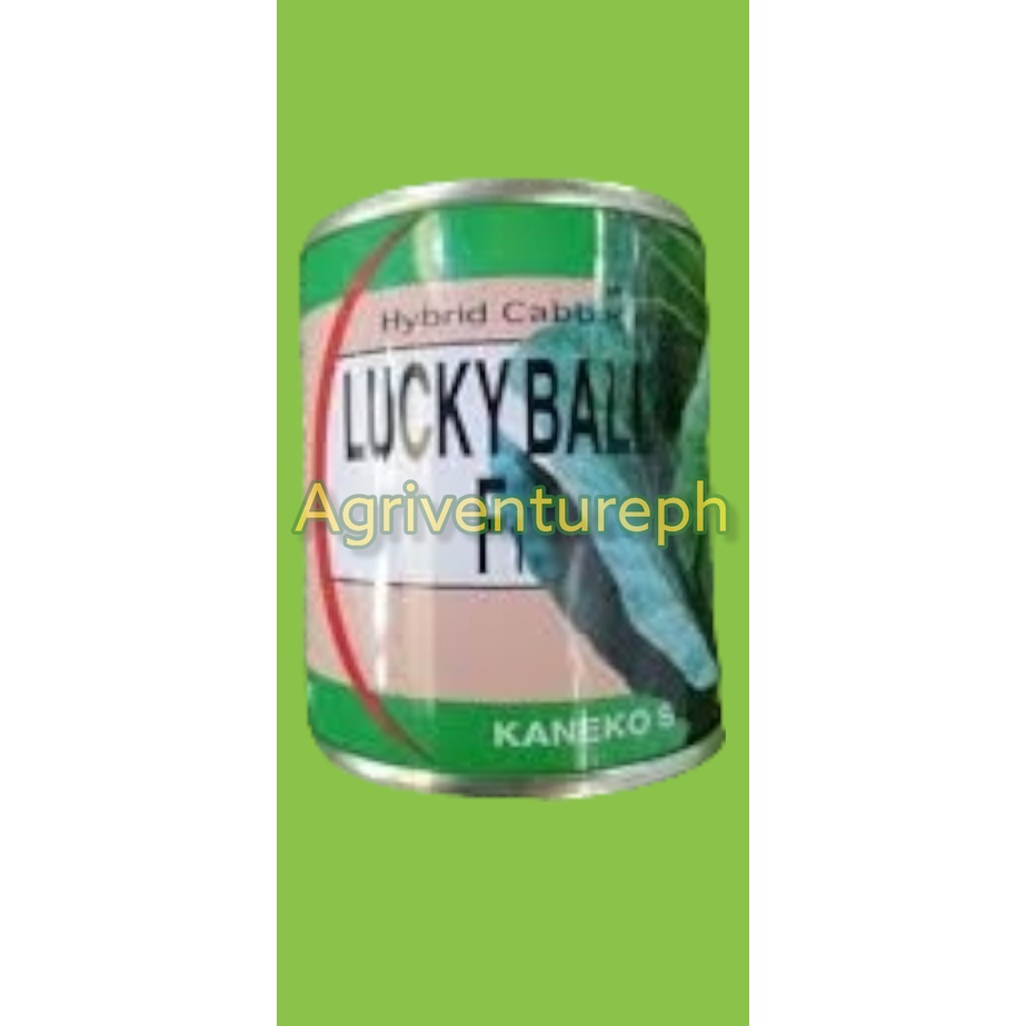 LUCKY BALL CABBAGE F1(50 GRAMS) BY KANEKO SEEDS | Shopee Philippines