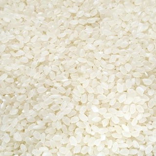SunRice Hinata Rice 2kg | Shopee Philippines