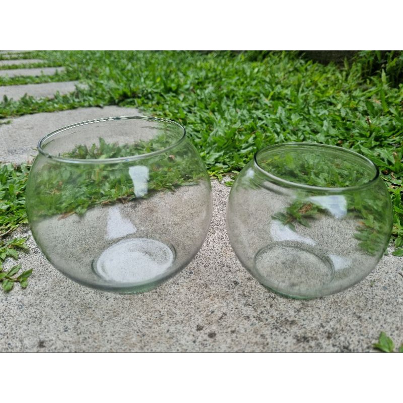 Clear Glass Fish Bowl | Shopee Philippines