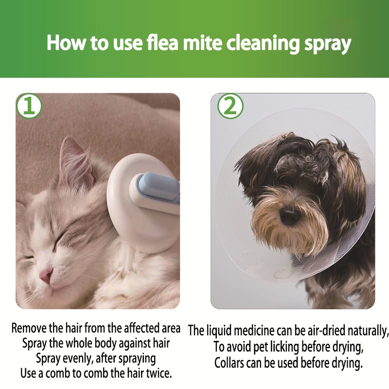 Dog spray for ticks and fleas remover for dog Anti tick and flea killer ...