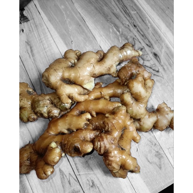 Native Ginger/Luya Fresh | Shopee Philippines