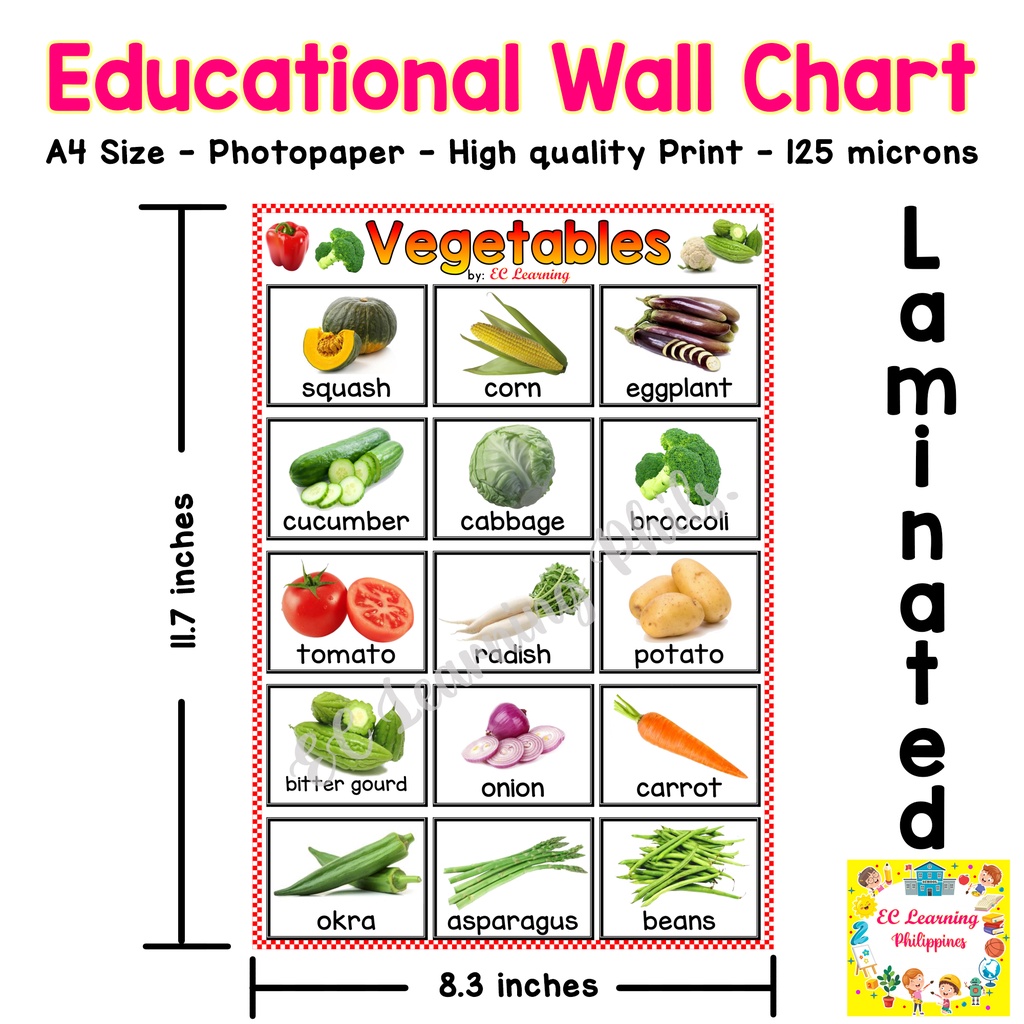 Vegetables Laminated Educational Chart A4 Mga Gulay W - vrogue.co