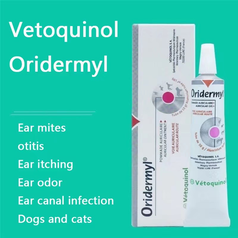 Oridermyl Ear Ointment 10g for Dogs and Cats | Shopee Philippines